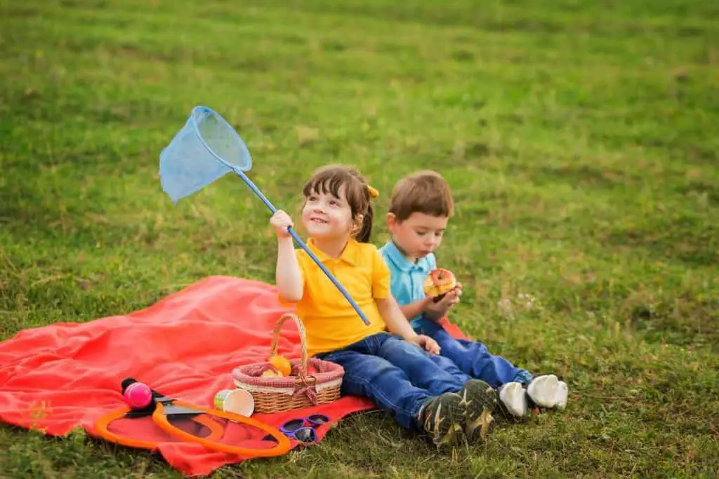 9 Reliable Ways To Deal With Insects At A Picnic - Tiny Kitchen Divas